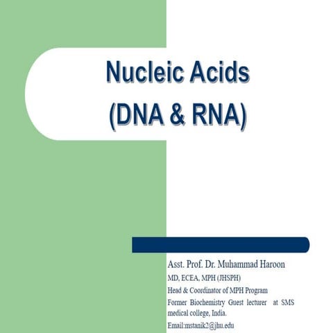 Introduction to Nucleic acids (Biochemistry) | PDF