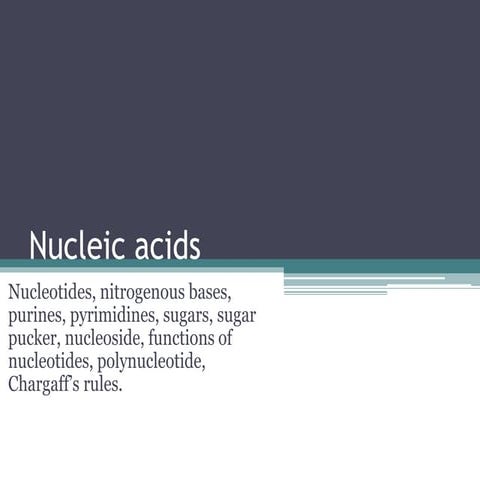 Nucleic acids.pptx
