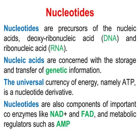 NUCLEIC ACIDS.ppt... biochemistry for nurses | PPT