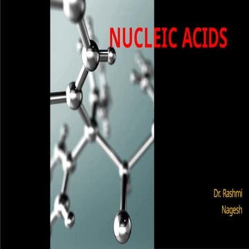 Biological Macromolecule - Nucleic Acids.pptx