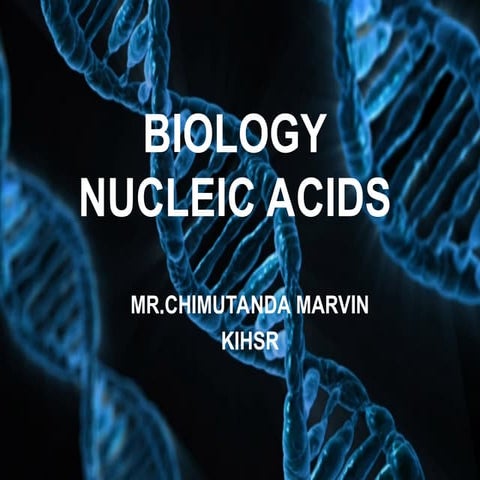 Nucleic acids and protein synthesis | PPT