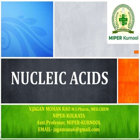 Daily Lesson Plan in Science 10 (Nucleic Acid) | DOCX