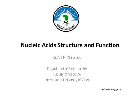Nucleic acids | PPT