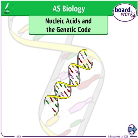 Nucleic Acids and the Genetic Code boardworks AS Level Biology | PPT