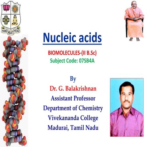 Nucleic acids | PPT