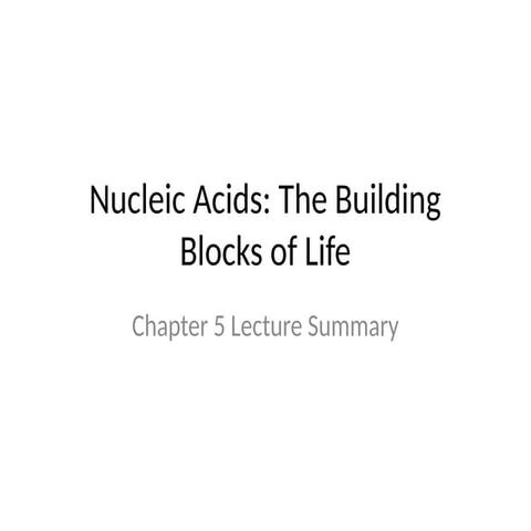 Nucleic_Acids_Lecture.pBB DNA rna BIOLOGUptx | PPTX