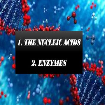 Dna | PPT