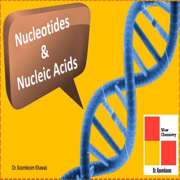 Nucleic acids & Nucleotides | PPTX | Chemistry | Science