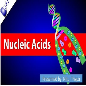 Nucleic acids presentation by Nitu Thapa.pptx