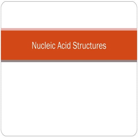 Nucleic acid structures | PPT