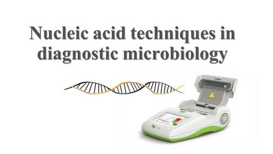 281_DNA quantification and it's importance | PPT