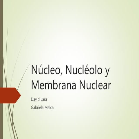 Núcleo, Nucléolo y Membrana Nuclear | PPTX