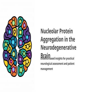 Nucleolar Protein Aggregation in the Neurodegenerative Brain | PPTX