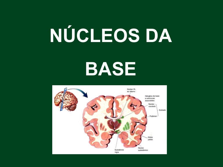 Nucleos da base
