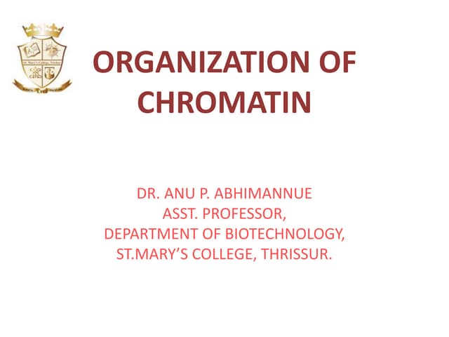 Chromatin structure and organization | PPTX
