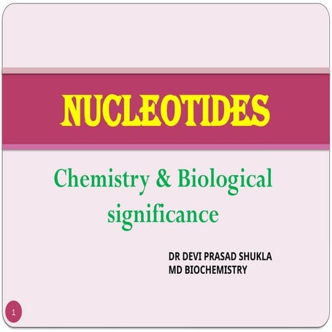 Nucleotide chemistry BUILDING BLOCKS OF DNA | PPTX