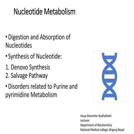 Nucleotide metabolism | PPTX
