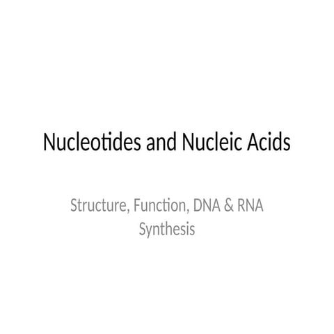 Nucleotides_and_Nucleic_Acids_Presentation.pptx