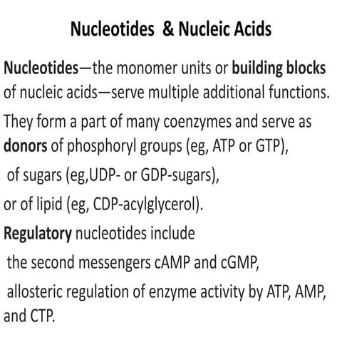 Nucleotides & nucleic acids | PPTX