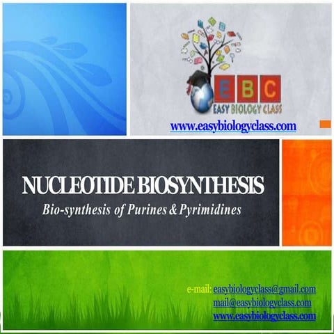 nucleotidesynthesis.ppt.pptx