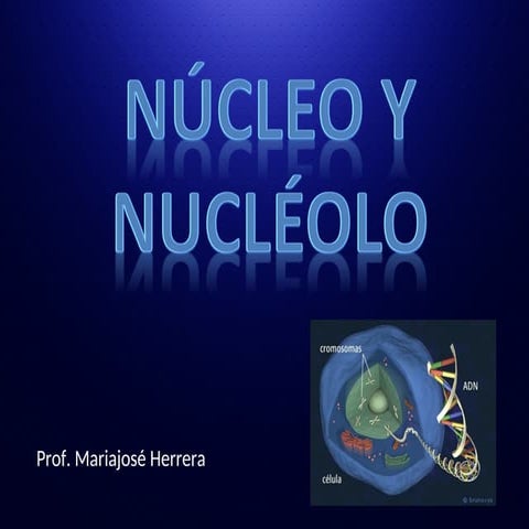 Nucleo y Nucleolo (Dra. Maria Jose Herrera).ppt