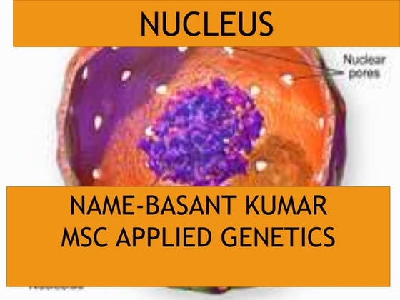 Nucleus | PPTX | Biological Sciences | Science