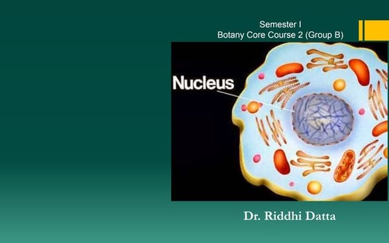 Nucleus structure and nuclear pore complex | PPTX | Biological Sciences ...