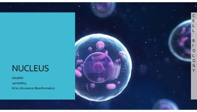 CELL NUCLEUS | PPT