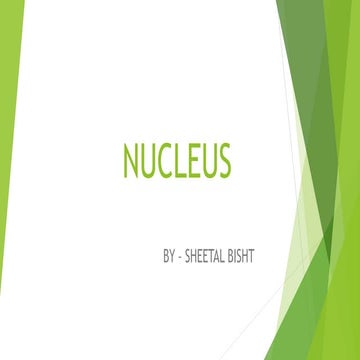 Nucleus | PPTX