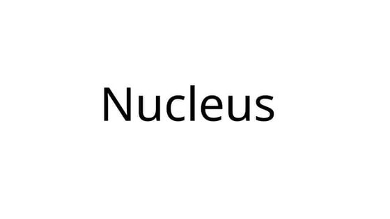 Nucleus | PPTX | Biological Sciences | Science