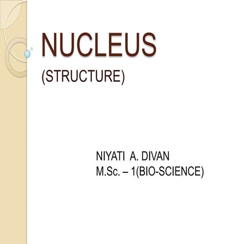Nucleus1 | PPT