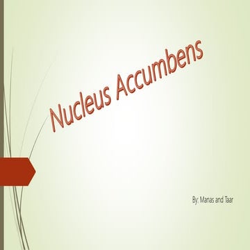 Nucleus accumbens | PPT