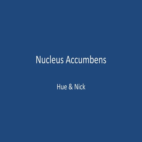 Nucleus accumbens Hue and Nick | PPTX
