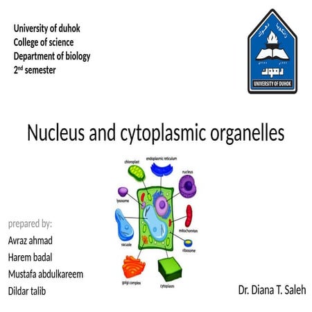Comprehensive Overview of Plant Cell Nucleus and Cytoplasmic Organelles ...