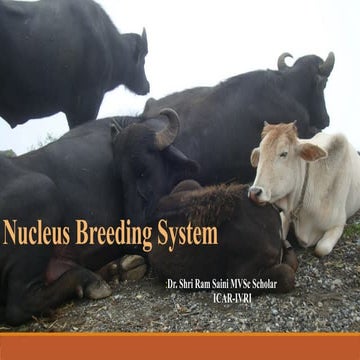 Nucleus breeding system in livestocks in india | PPTX