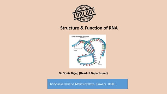 Types of RNA | PPTX