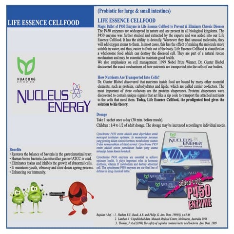 Life Essence Cellfood | PPT