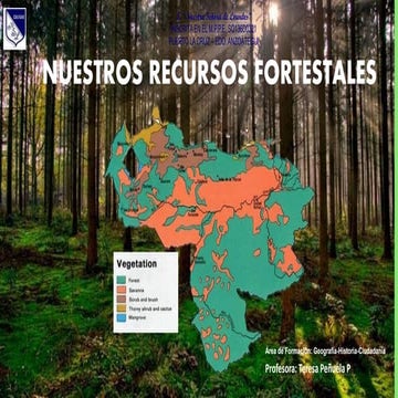 NUESTROS RECURSOS FORESTALES.pdf