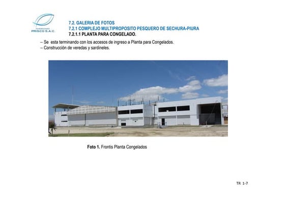 Anchovies brochure | PDF