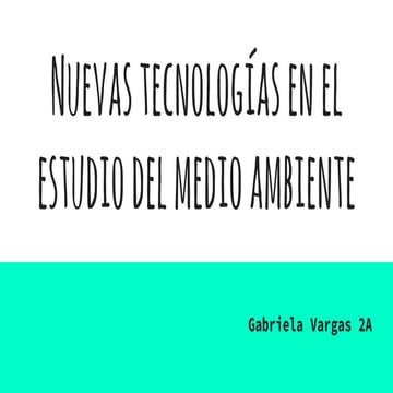 CV ERZALINA PDF | PDF