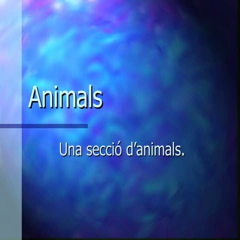 Animals | PPT