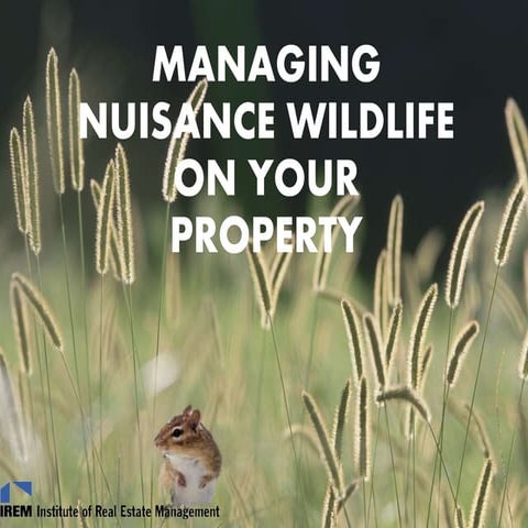 Backyard and Wildlife Safety.pptx