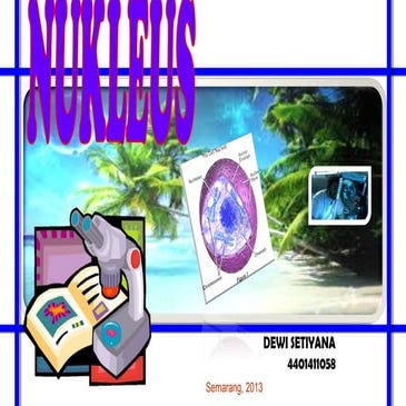 NUKLEUS | PPT