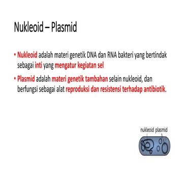 Nukleoid – Plasmid.pptx