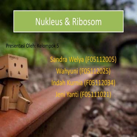 Nukleus & ribosom | PPTX