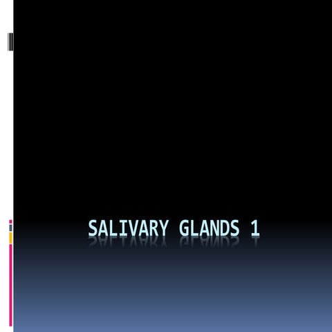 salivary gland 1 , Salivary glands 2100 | PPT