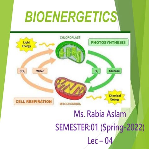 Bioenergetics | PPTX