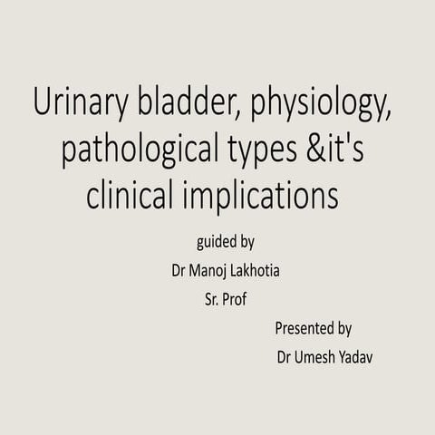 Bladder | PPT
