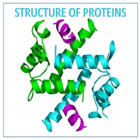 nullhhhhhhhggf toxic gghhhhh III iso.pptx