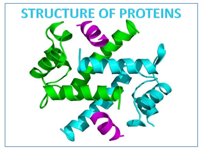 Primary and Secondary Structure of Protein | PPTX